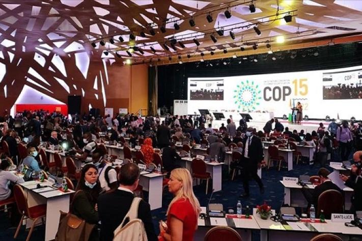 Cop-15 : un accord majeur conclu pour la protection de la biodiversité ...