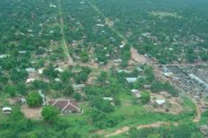 Une maladie d’origine inconnue décime les animaux domestiques du ...