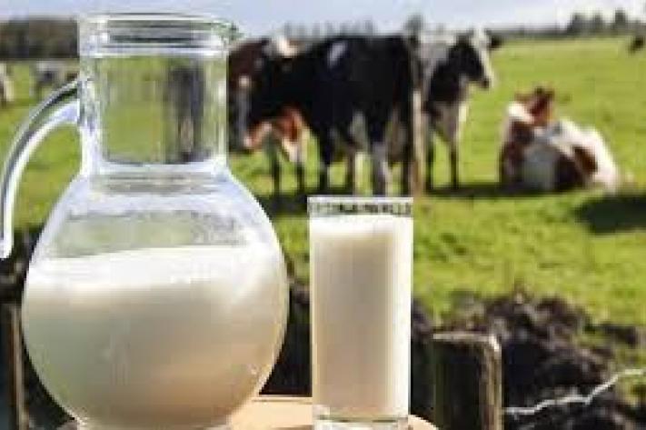 Le lait : bon ou mauvais pour la santé