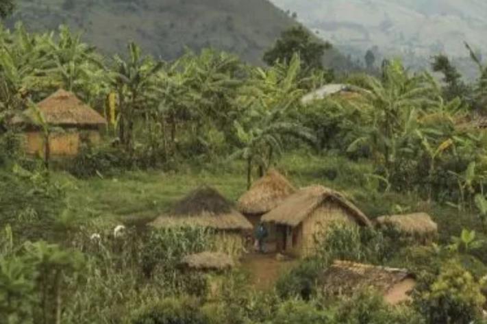 Mambasa : un pygmée tué par un élément de service de sécurité à Masiliko