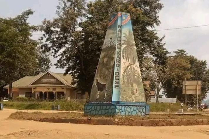 Ituri : la CRDH brosse un tableau sombre des activités des ADF à ...