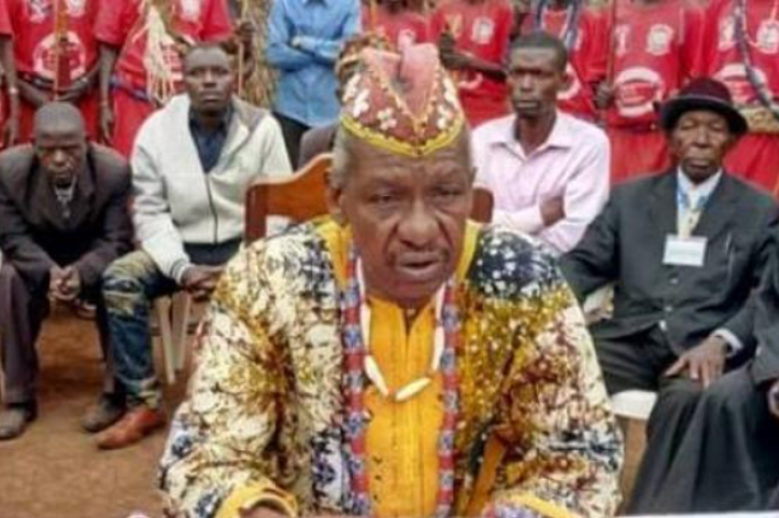 Sud-Kivu : décès du Mwami Désiré Kabare Rugemaninzi 2, N’Nabushi