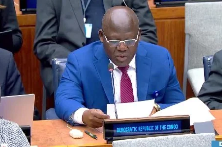 ONU : pour Zénon Mukongo, le Rwanda devrait se voir priver du droit à ...