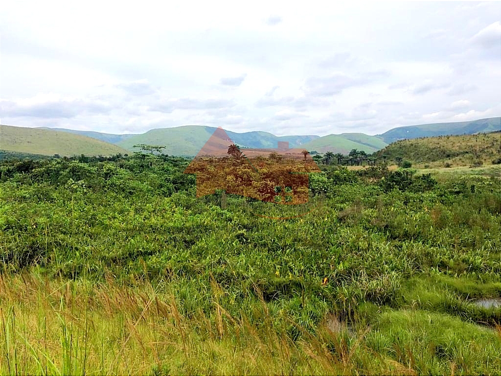 MISE EN VENTE D'UNE GRANDE CONCESSION DE 25 HECTARES. 9.000$ PAR ...