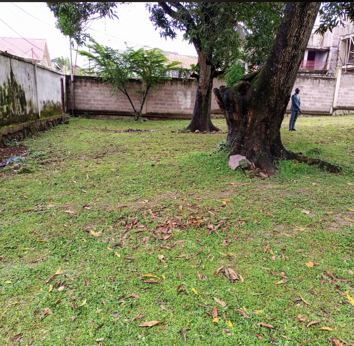 TERRAIN MIS EN VENTE DANS LA COMMUNE DE NGALIEMA DIMENSION 13m sur 23m ...