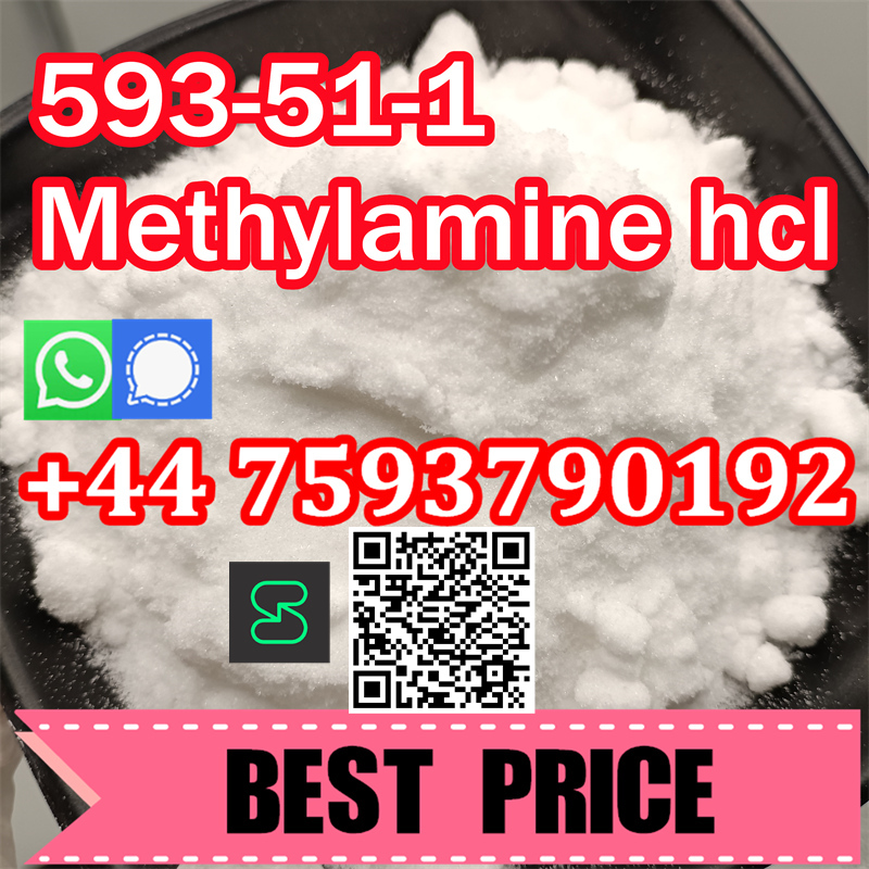 Factory supply Methylamine Hydrochloride 593-51-1 high quality ...