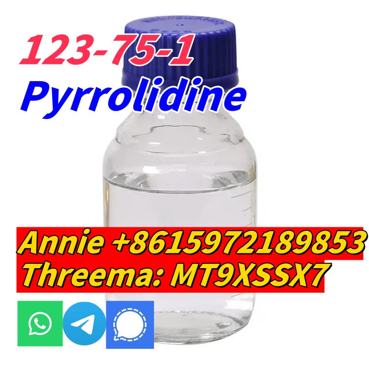 good quality Pyrrolidine CAS 123-75-1 factory supply with low price and ...