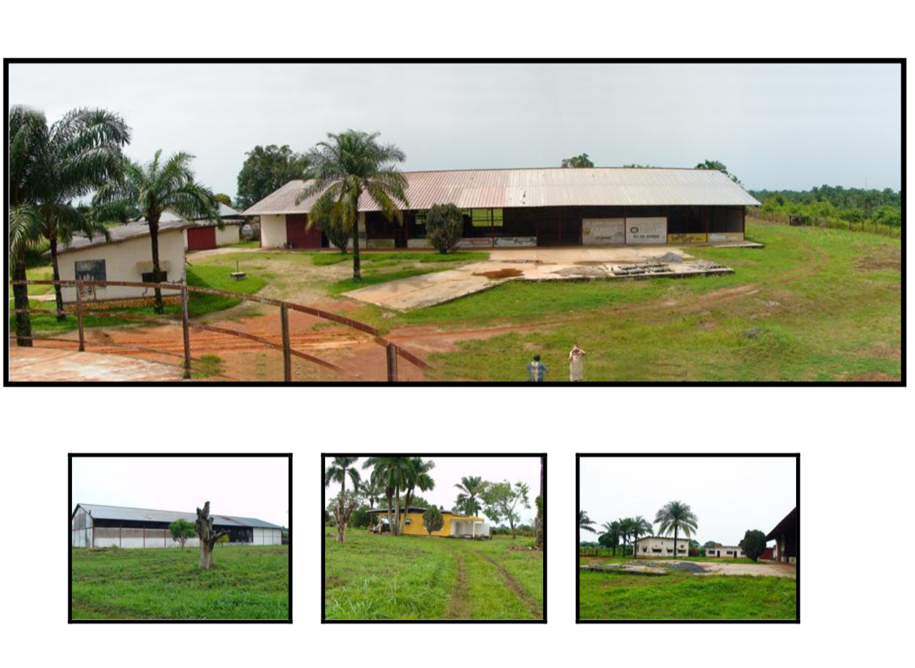 CONCESSION À VENDRE - Ancienne usine de fabrication de Djino à INKISI ...