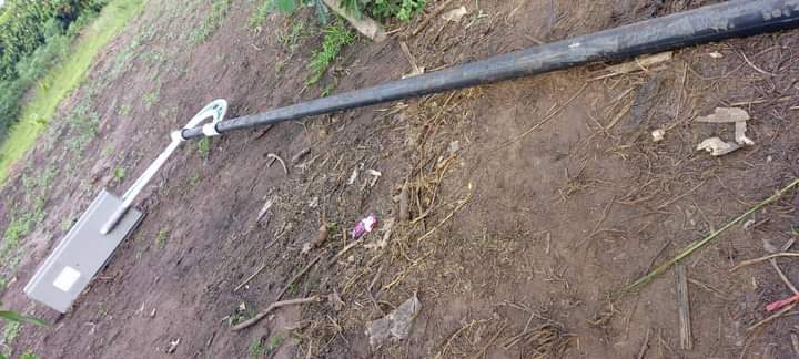 Mongala : la société civile dénonce la destruction et le vol des ...