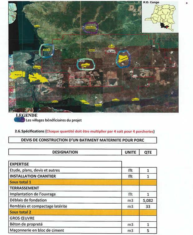 mediacongo.net - Offre d'emploi - Mise en oeuvre des Projets dans le ...