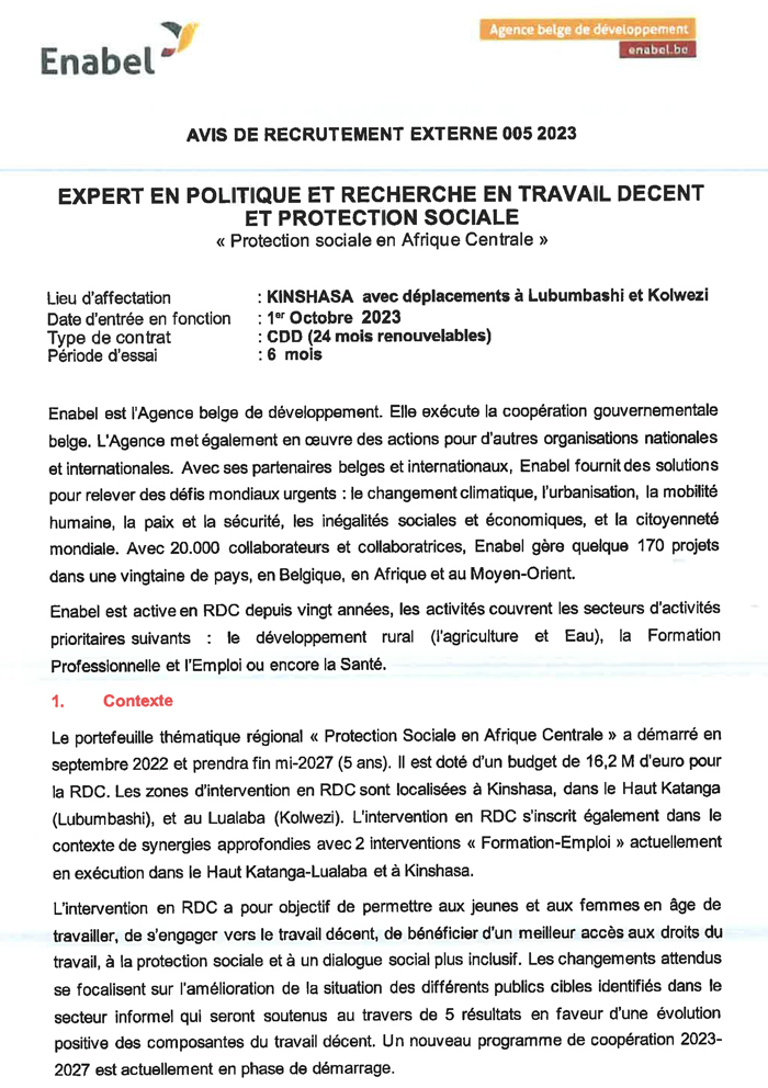 mediacongo.net - Offre d'emploi - Expert en politique et recherche en travail décent et ...