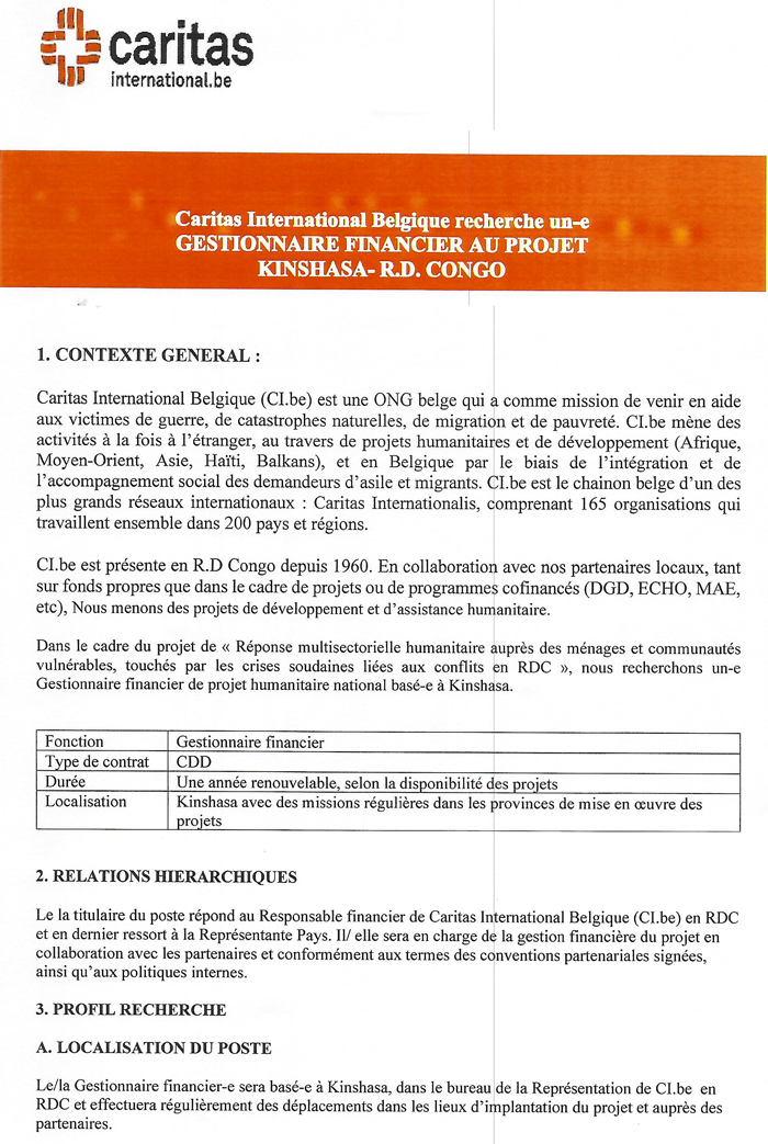 mediacongo.net - Offre d'emploi - Gestionnaire financier