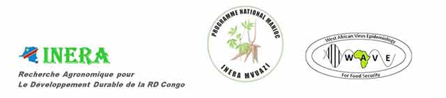 mediacongo.net - Offre d'emploi - Responsable de Laboratoire